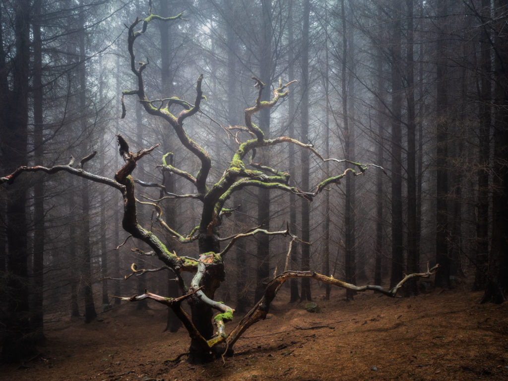 Simon Baxter e paisagens fantásticas – Centro de Fotografia